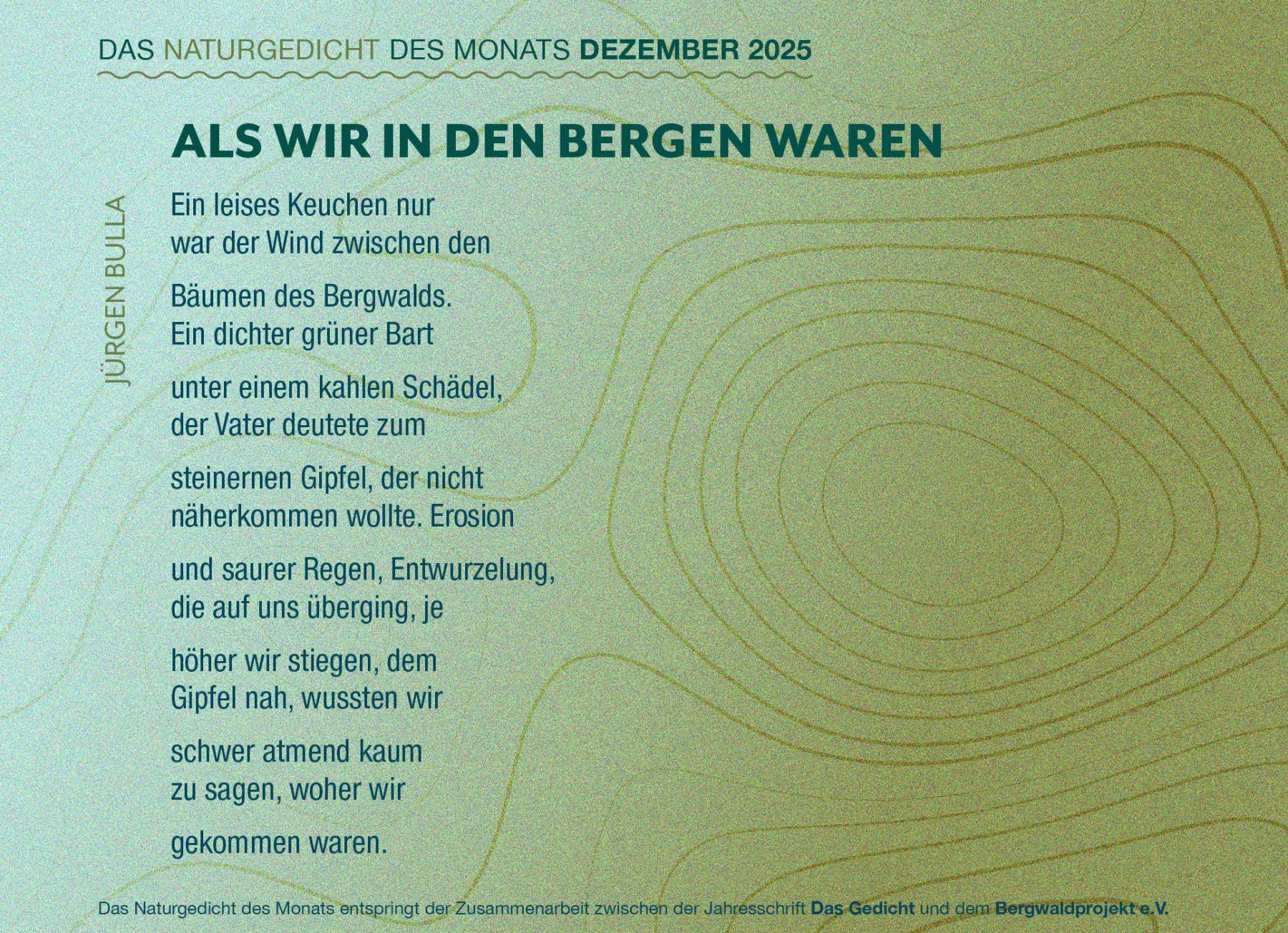 Naturgedicht-des-Monats-25-12_Jürgen-Bulla_Als-wir-in-den-Bergen-waren ...